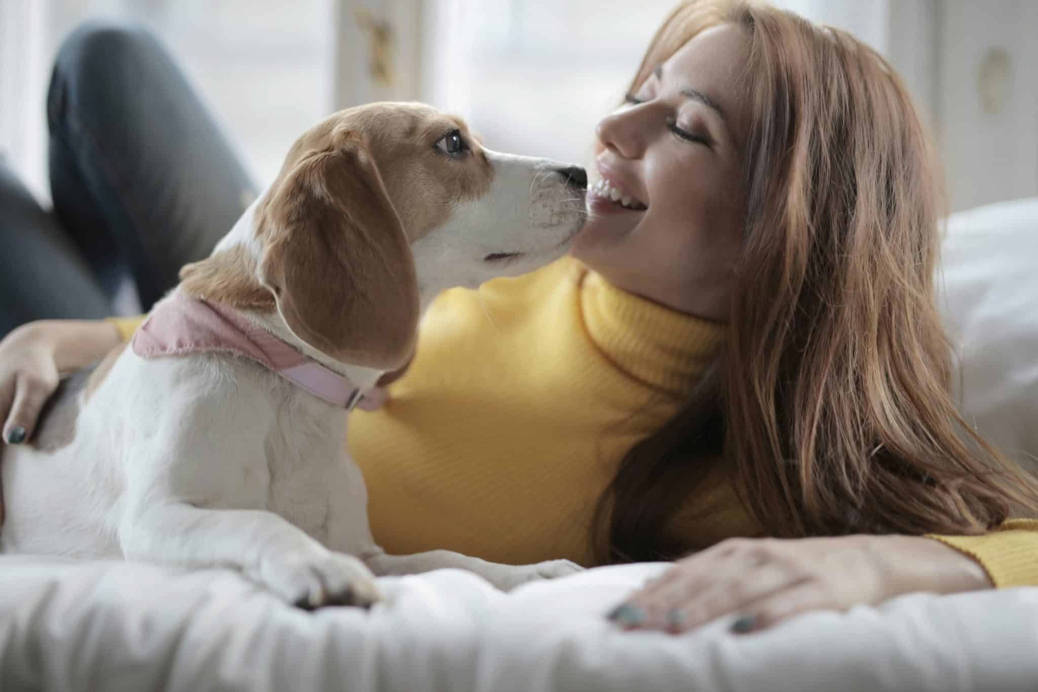 21 Loyal Dog Breeds That Stay By Your Side Through Anything ...
