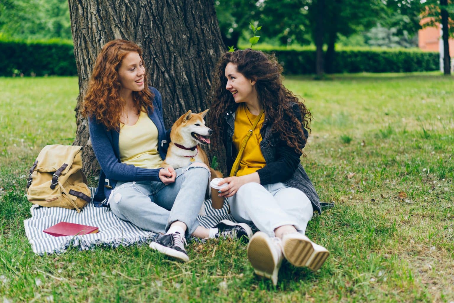 11 Ways Dogs Keep Us Healthy, Happy, and Active - iHeartDogs.com