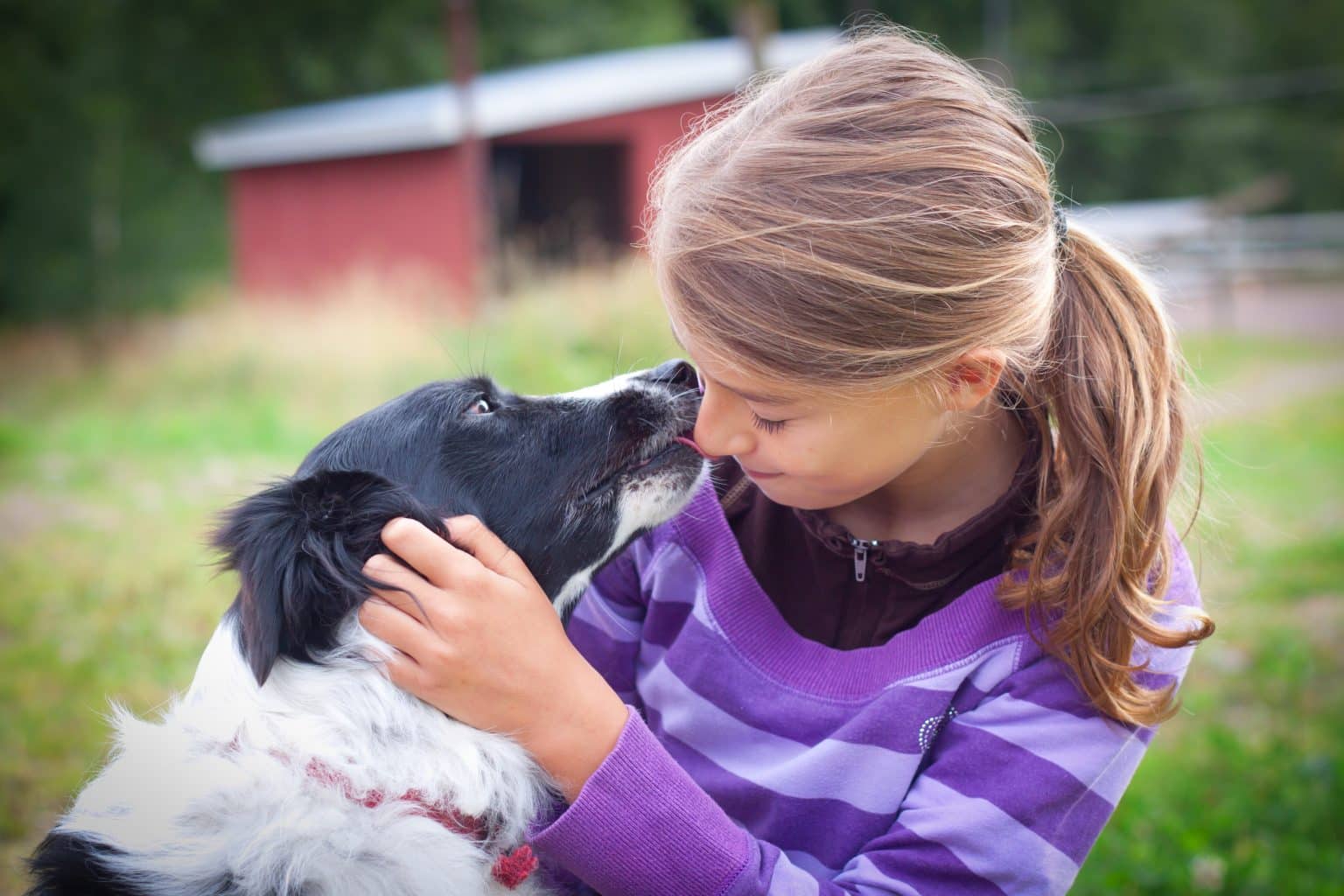 13 Best Emotional Support Dog Breeds That Feel Your Pain - iHeartDogs.com