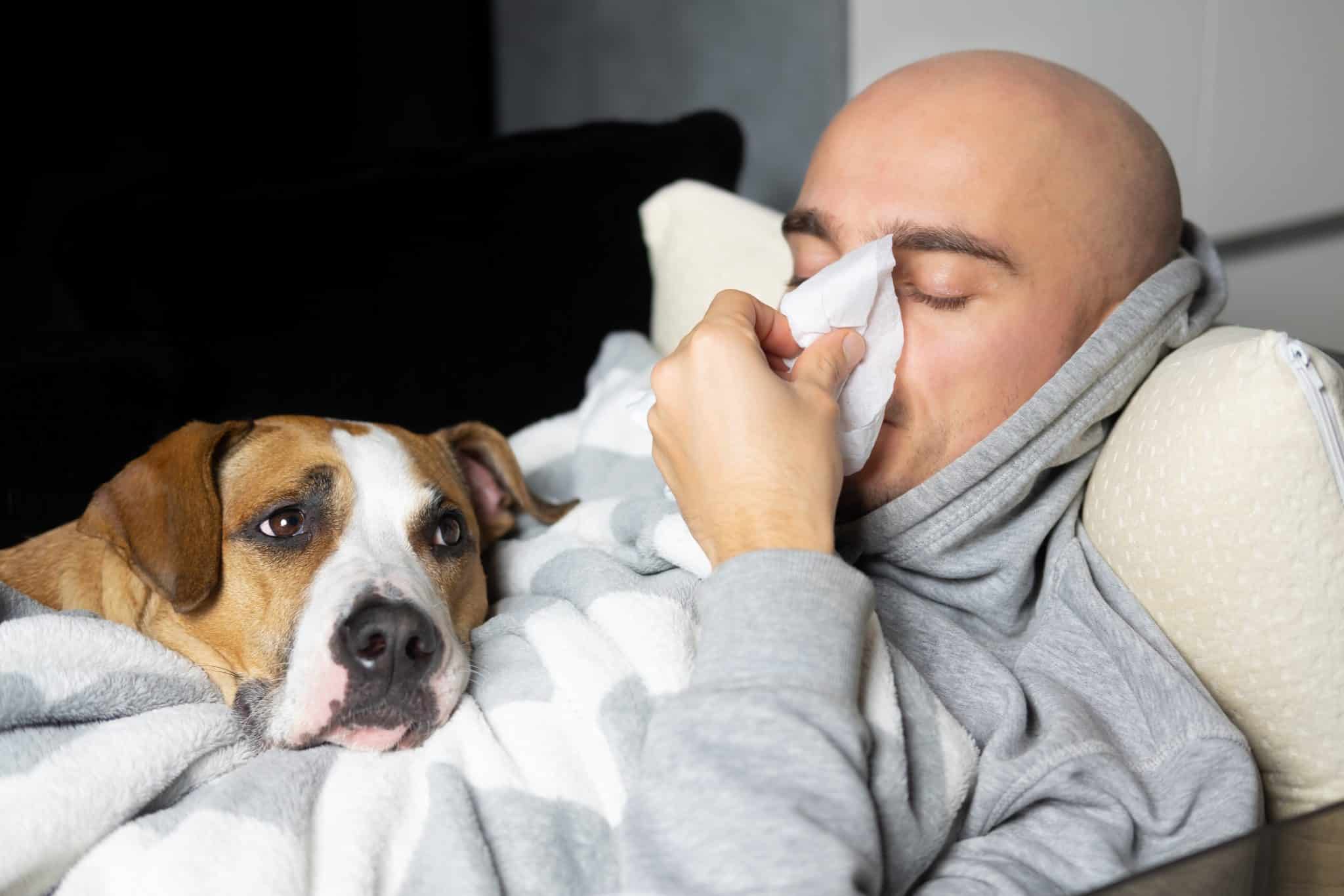 13 Signs Your Dog Can Read Your Emotions Better Than You Can ...