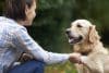 13 Dog Breeds That Are Basically Born To Be Best Friends - iHeartDogs.com