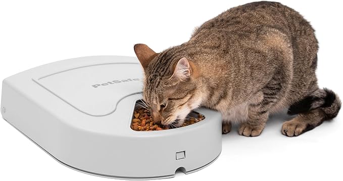 9 Best Automatic Dog Feeders - iHeartDogs.com