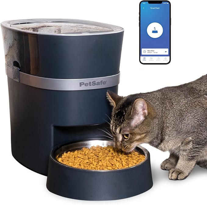 9 Best Automatic Dog Feeders - iHeartDogs.com