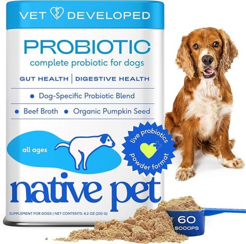 14 Best Probiotics for Dogs in 2026 (Vet-Reviewed Picks) - iHeartDogs.com