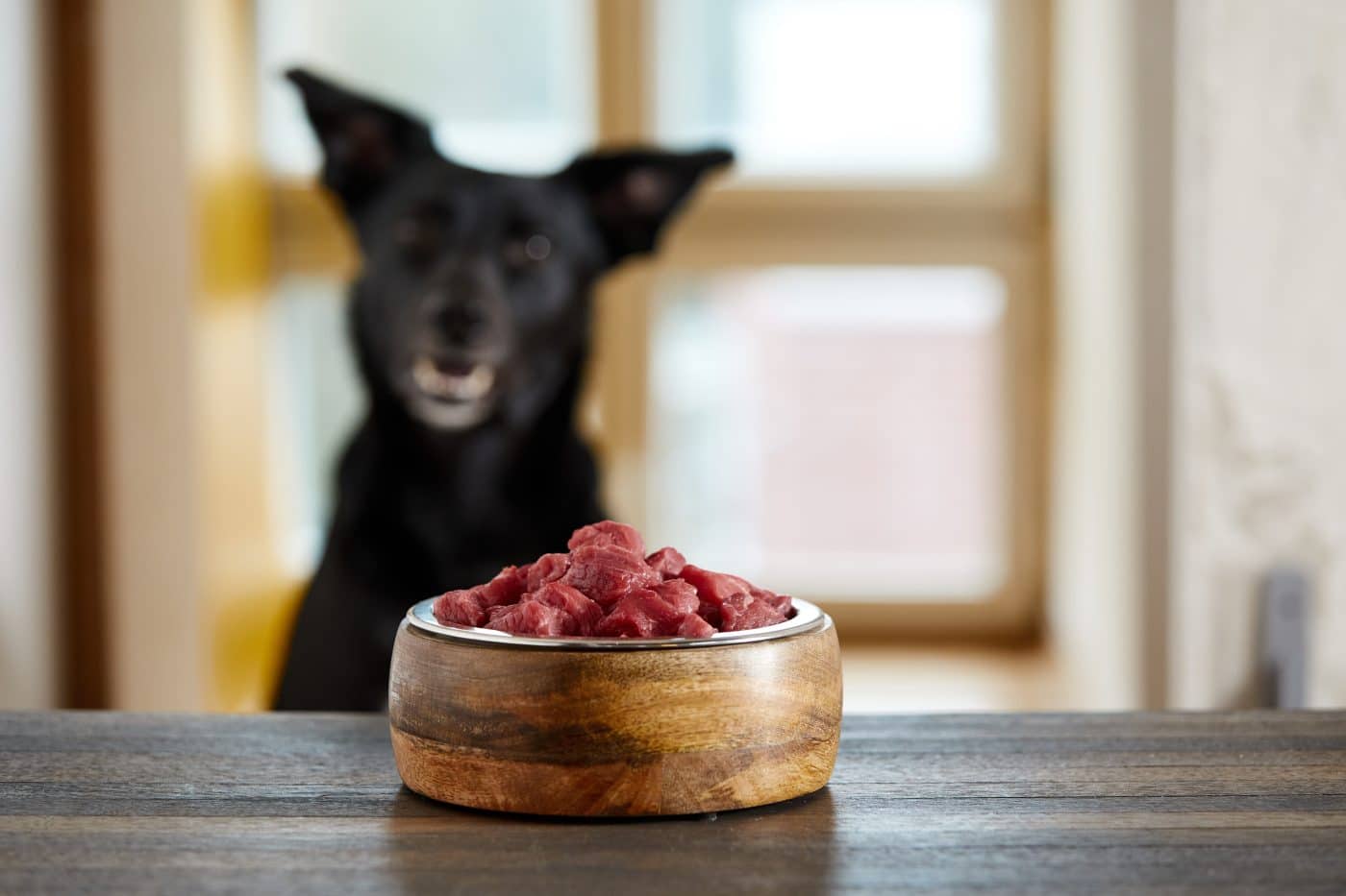 12 Best Raw Dog Food Brands - iHeartDogs.com