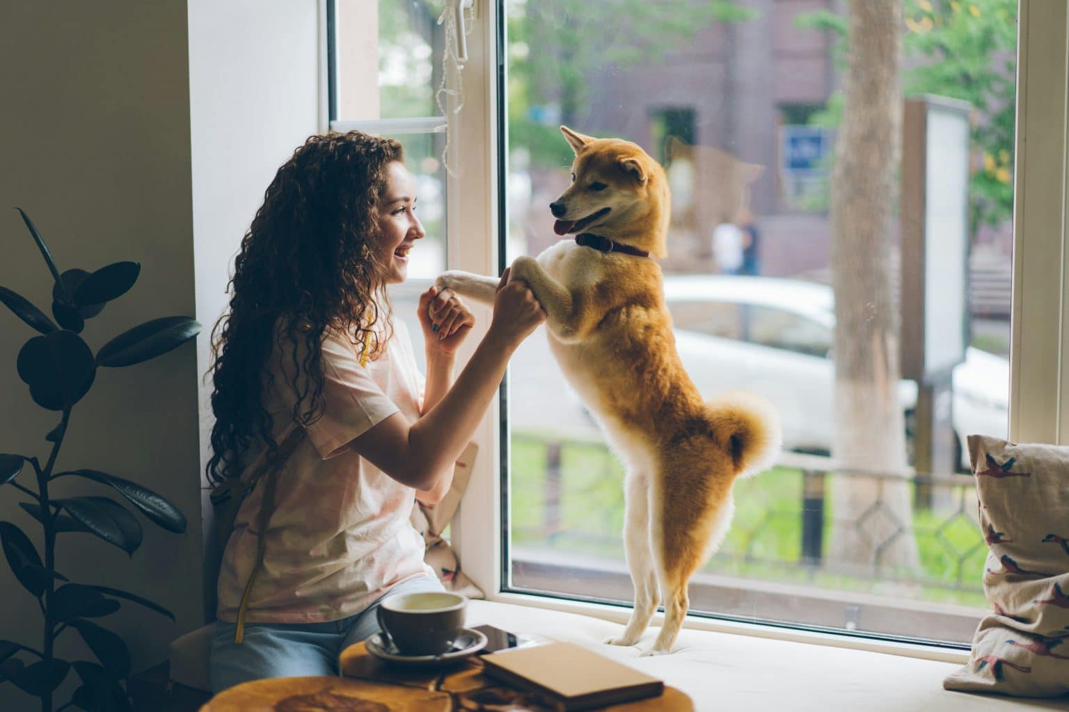 Top 9 Signs Your Dog Can Sense Your Emotions And Wants To Help ...