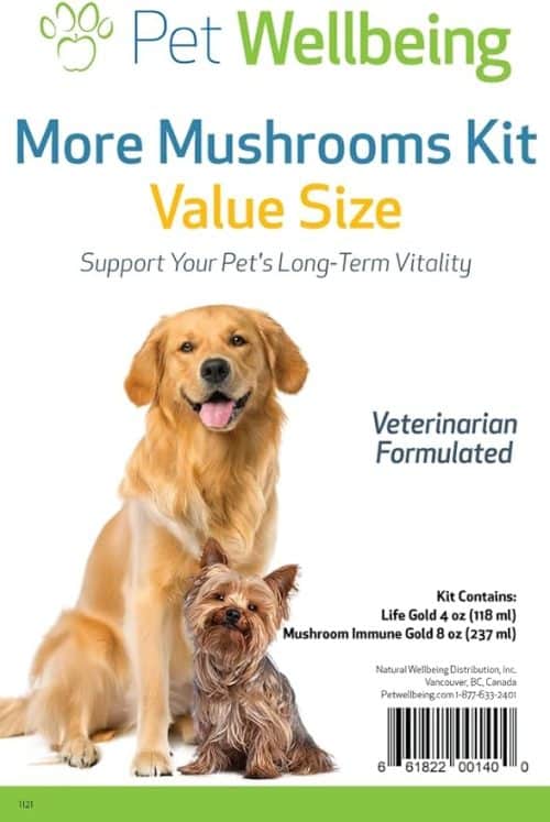 10 Best Mushroom Supplements For Dogs - iHeartDogs.com