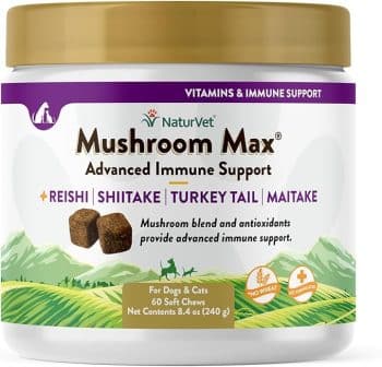 5 Best Dog Immunity Supplements - iHeartDogs.com