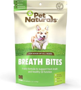 10 Best Mushroom Supplements For Dogs - iHeartDogs.com