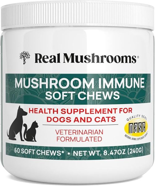 10 Best Mushroom Supplements For Dogs - iHeartDogs.com
