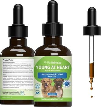 The 13 Best Heart Supplements For Dogs - iHeartDogs.com