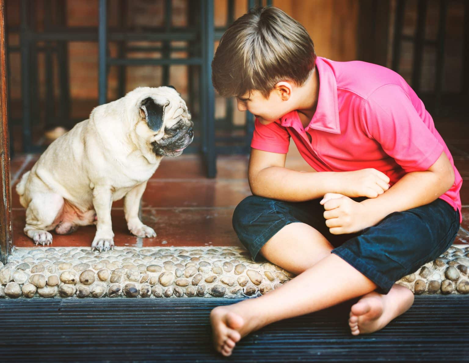 13 Unbelievable Signs Your Dog Understands More Than You Think