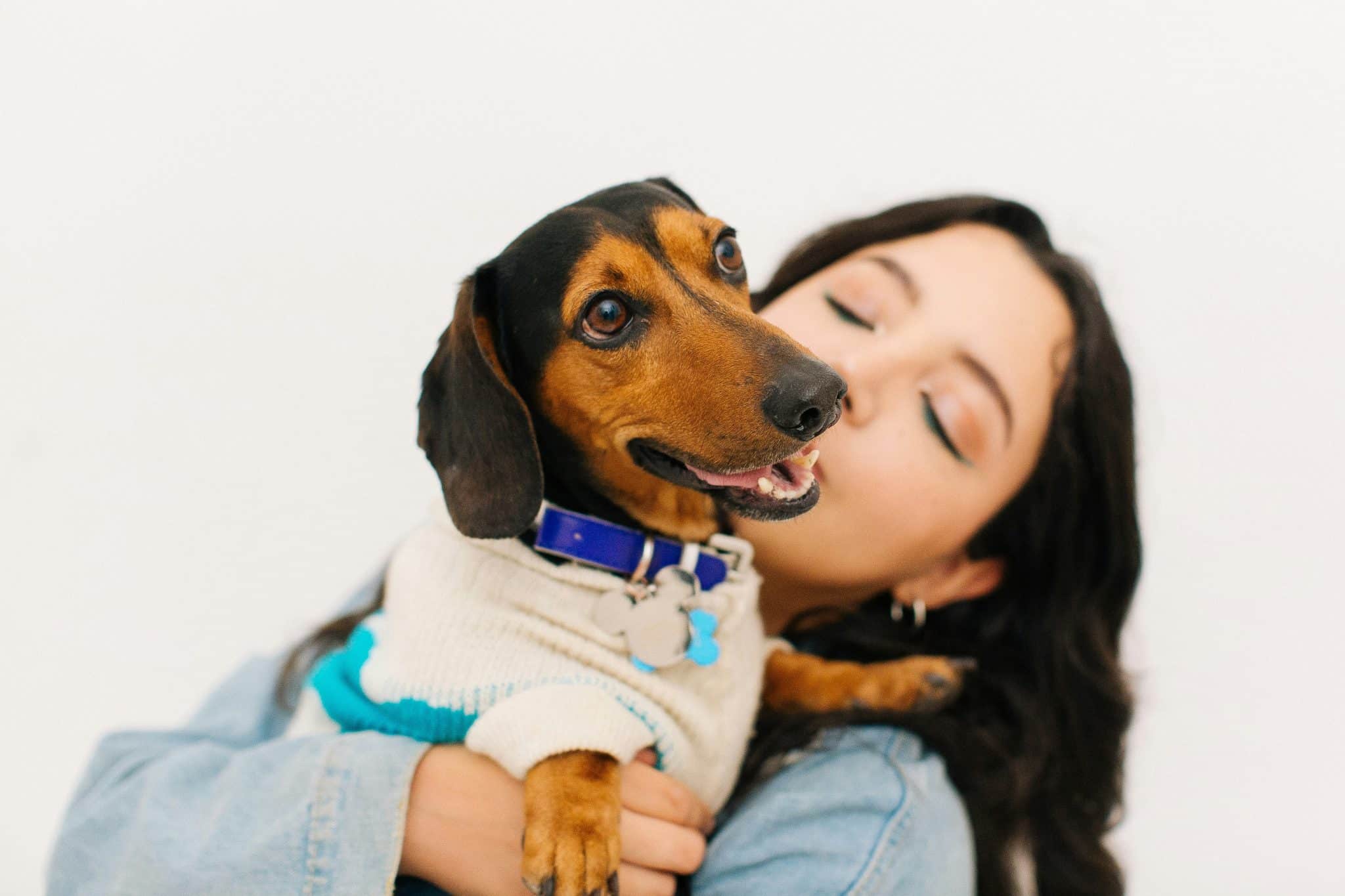 13 Ways Dogs Can Sense Danger Before Humans Can - iHeartDogs.com
