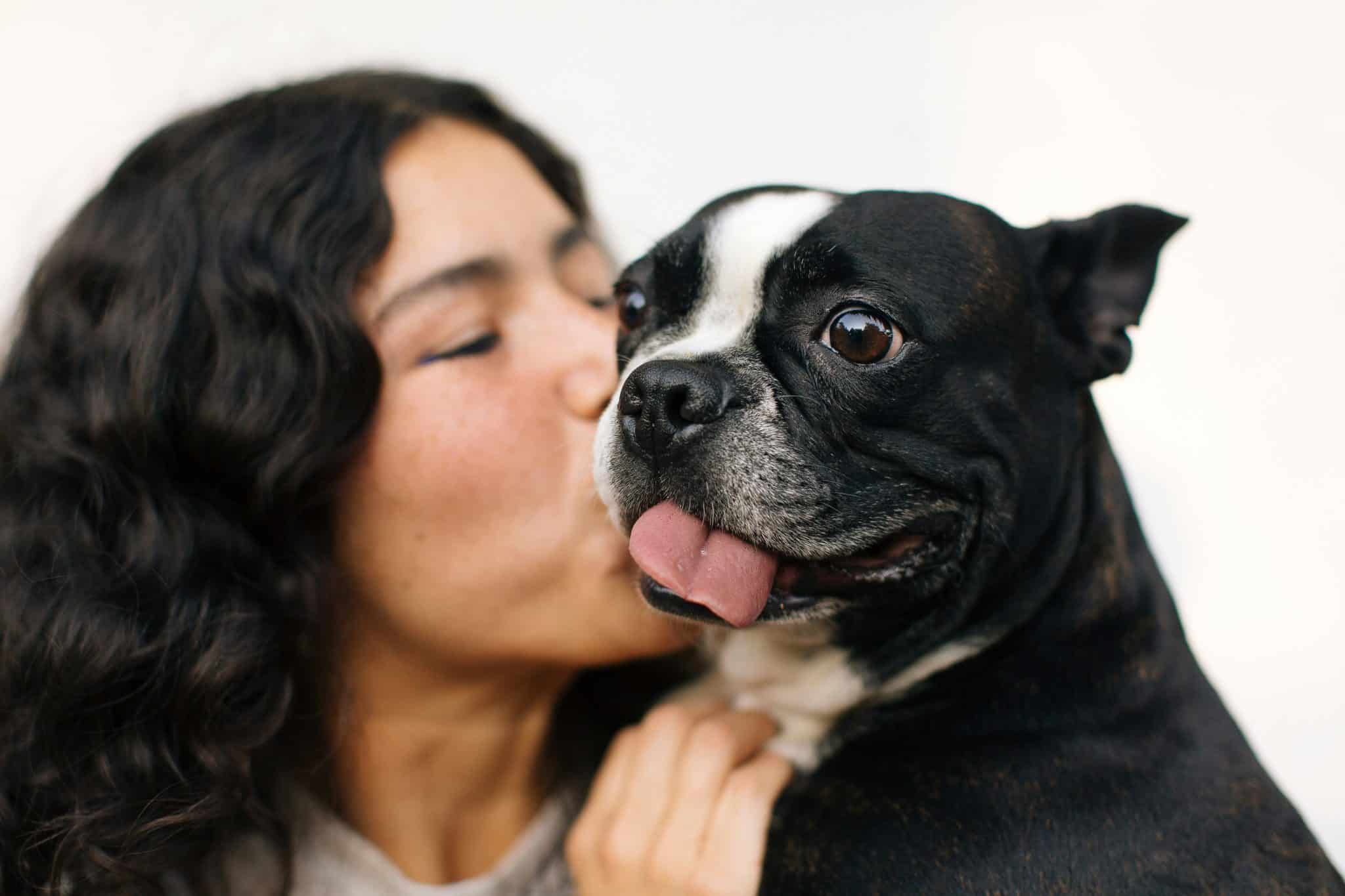 13 Ways Dogs Can Sense Danger Before Humans Can - iHeartDogs.com