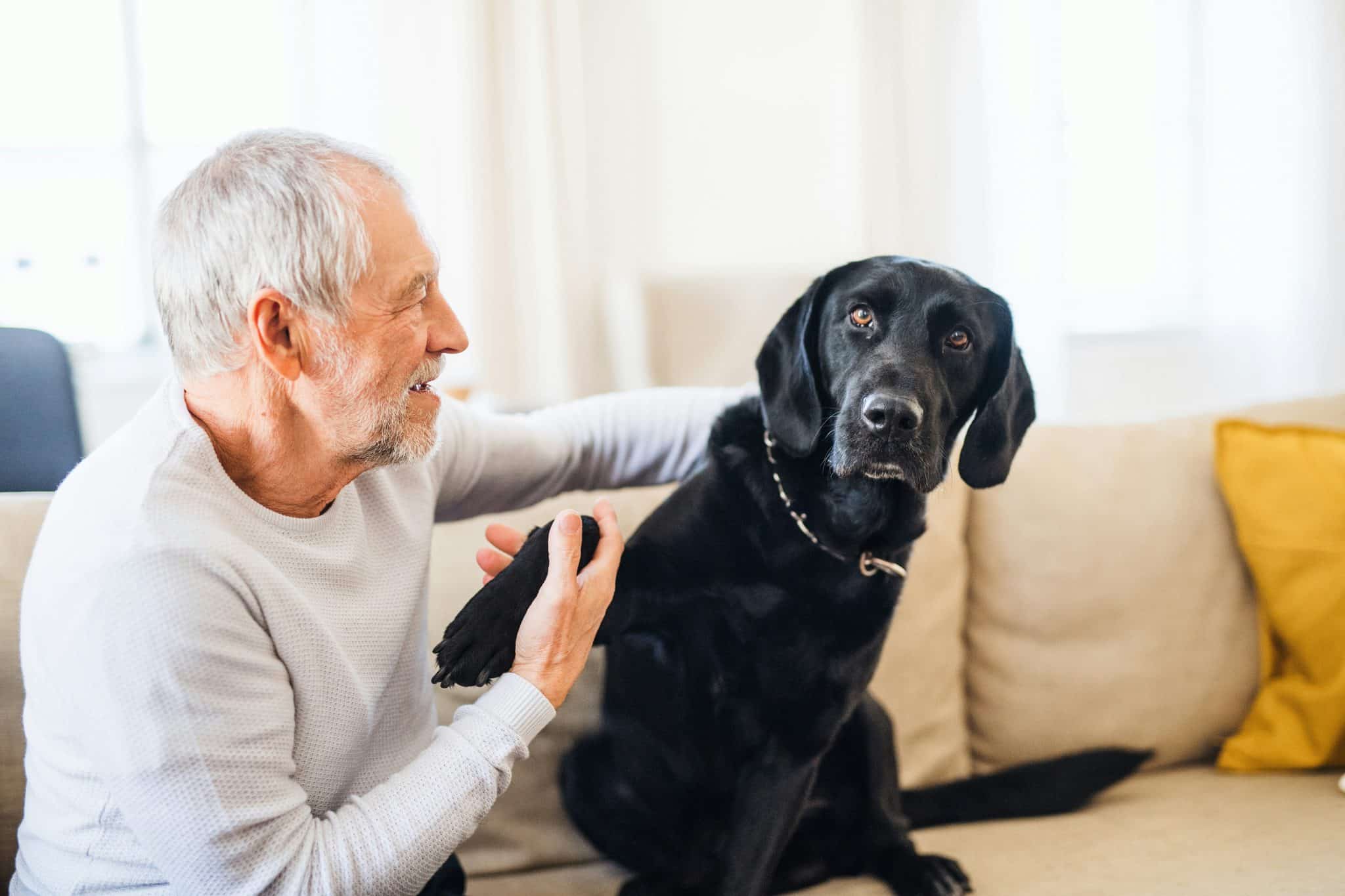 13 Ways Dogs Can Sense Danger Before Humans Can - iHeartDogs.com