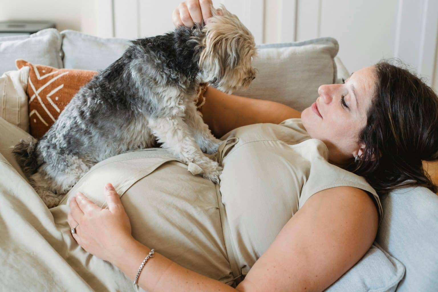 13 Weird Ways Dogs Have Reacted To Their Owners’ Pregnancies ...