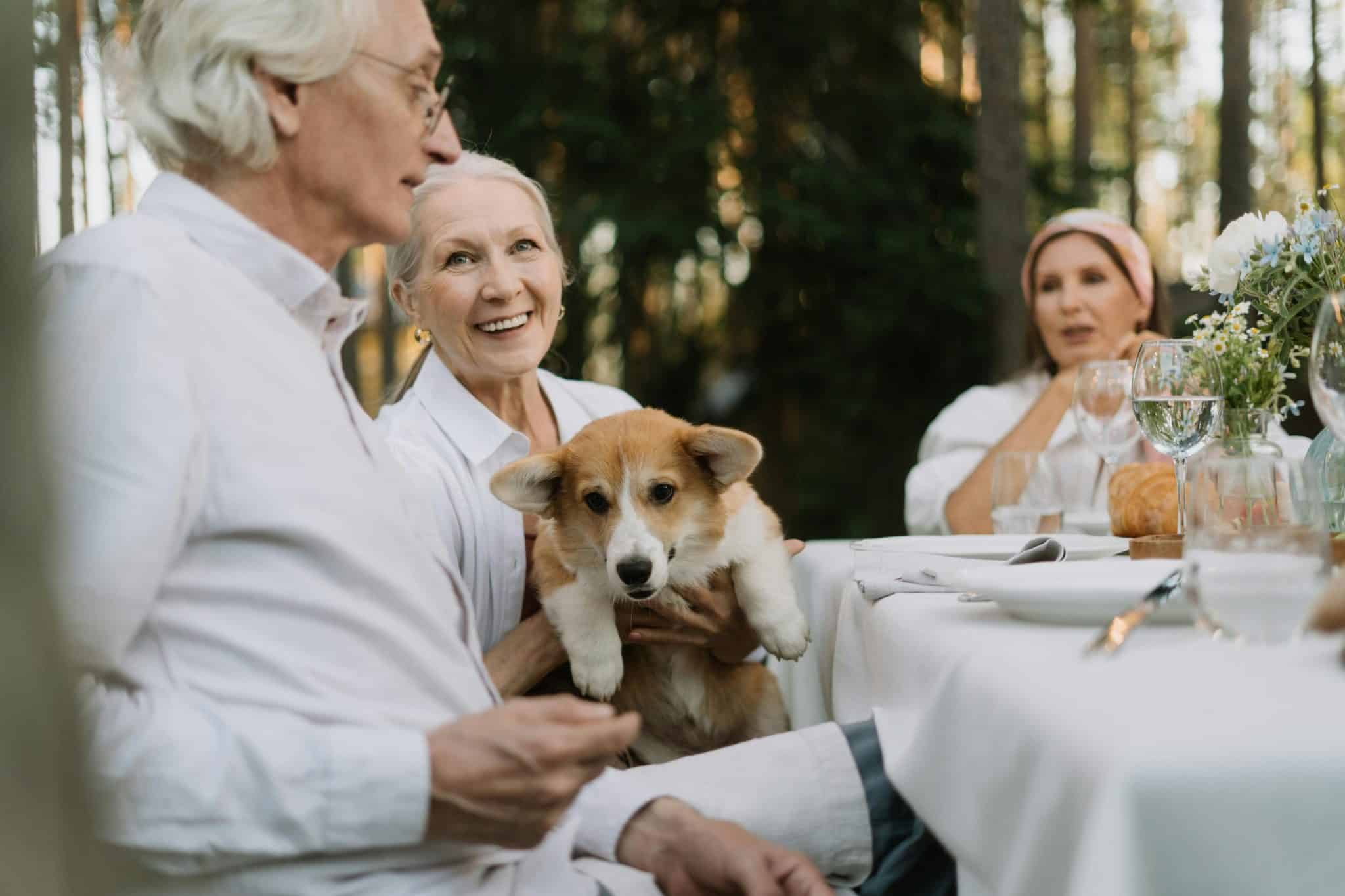 13 Unbelievable Signs Your Dog Understands More Than You Think ...