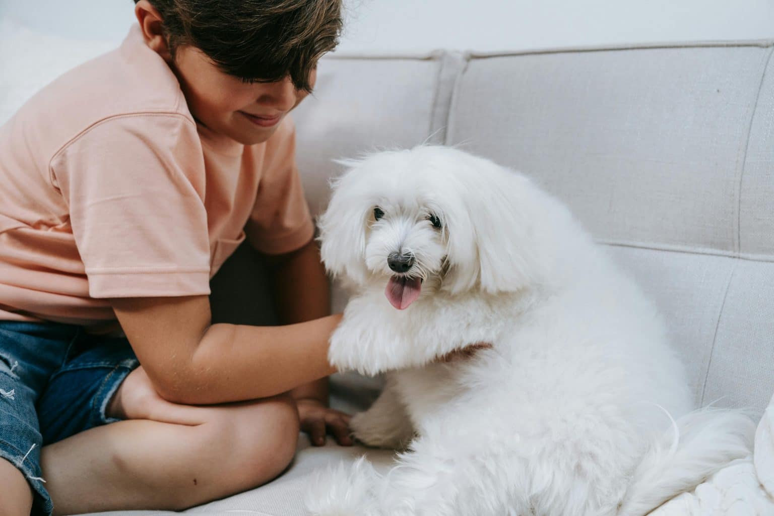 15 Hidden Talents Dogs Have That You Never Knew About - iHeartDogs.com