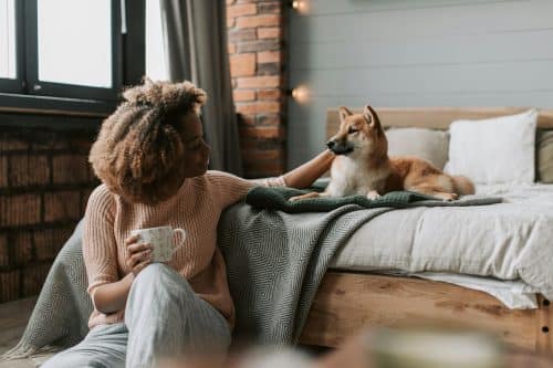 13 Signs Your Dog Can Read Your Emotions Better Than You Can ...
