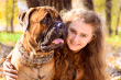 Have You Tried Living With These 15 Bold Dog Breeds? - iHeartDogs.com