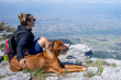 11 Best Adventure-Ready Dog Breeds for Outdoor Lovers - iHeartDogs.com