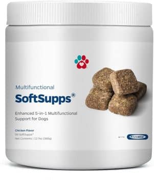 11 Best Dog Multivitamin Products - iHeartDogs.com