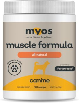 Muscle Building Supplements for Dogs: Veterinary Sports Medicine Study ...