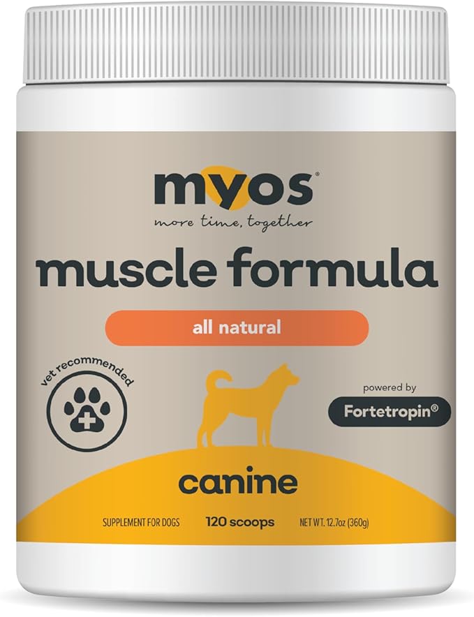 4 Best Muscle Building Supplements For Dogs - iHeartDogs.com