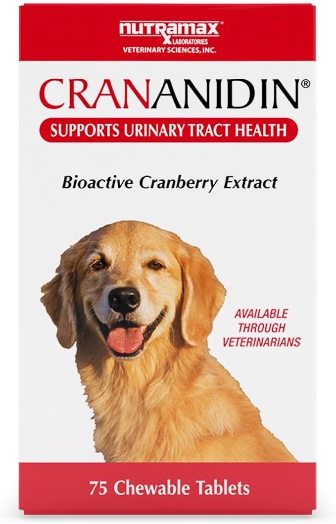 11 Best Cranberry Supplements for Dogs - iHeartDogs.com
