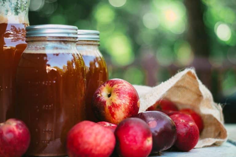 5 Natural Anti-Parasitic Foods That Help Keep Fleas and Ticks Away ...