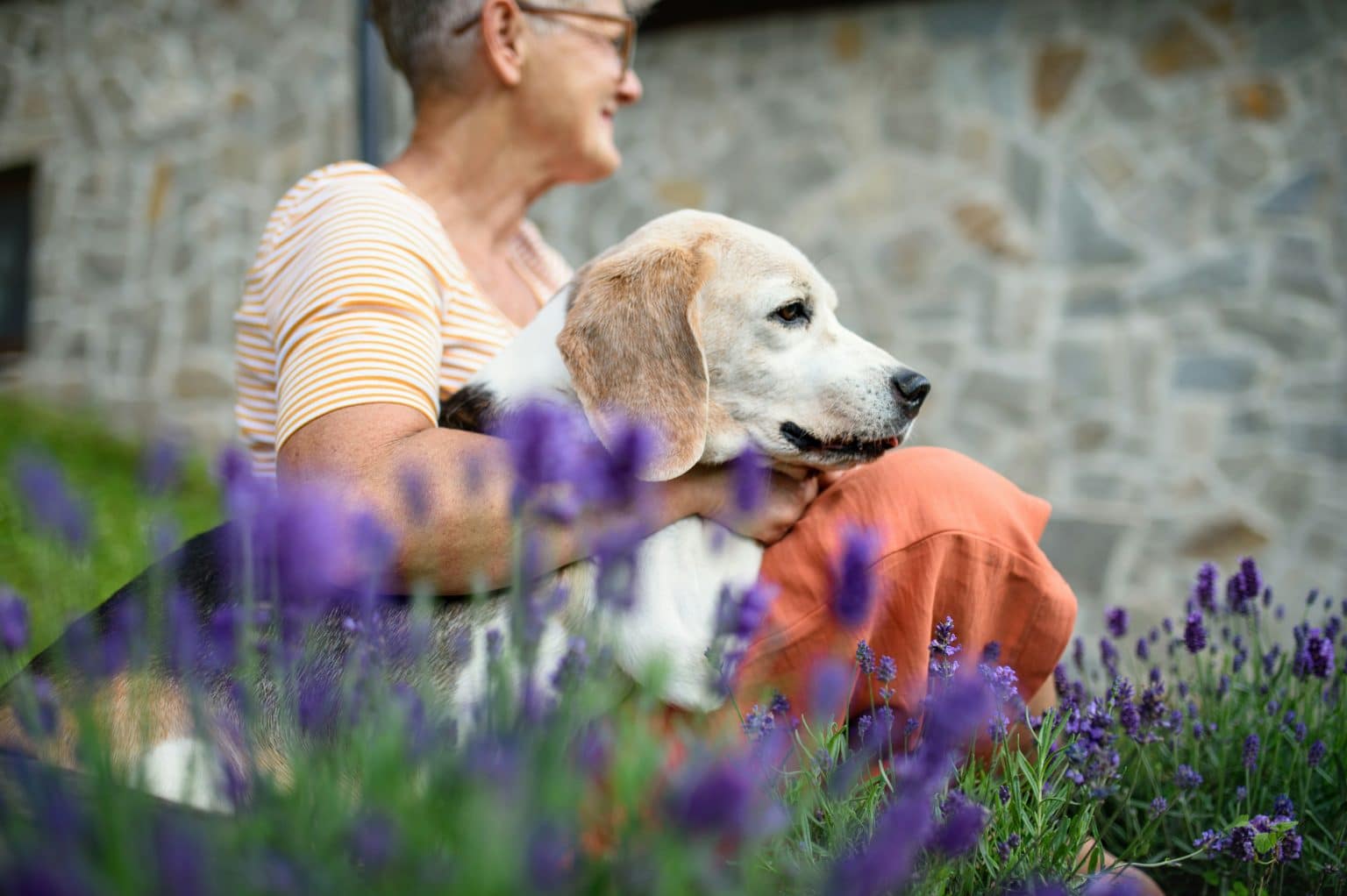 15 Beautiful Ways To Say Goodbye To Your Dog When The Time Comes ...
