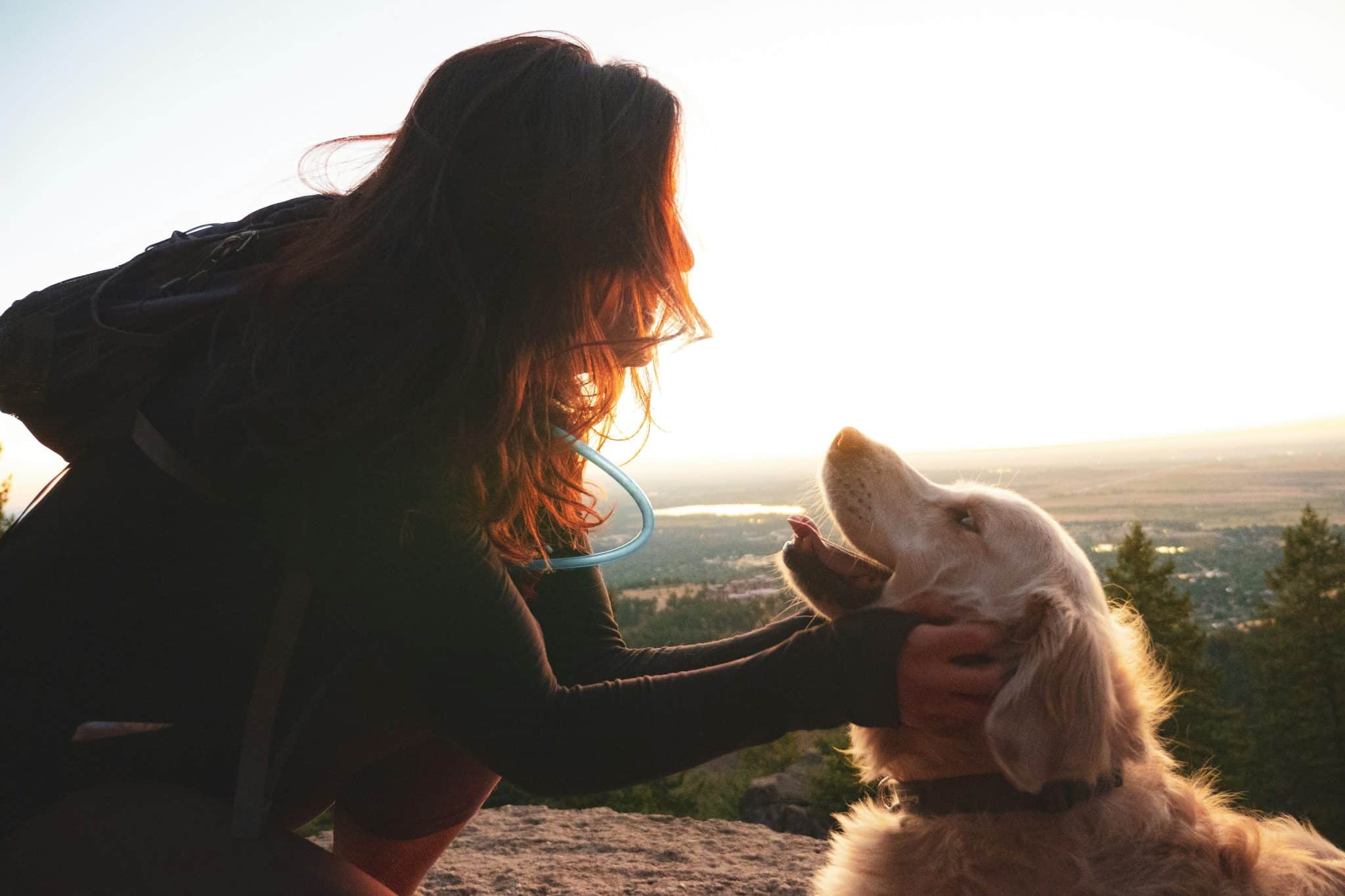 15 Beautiful Ways To Say Goodbye To Your Dog When The Time Comes ...