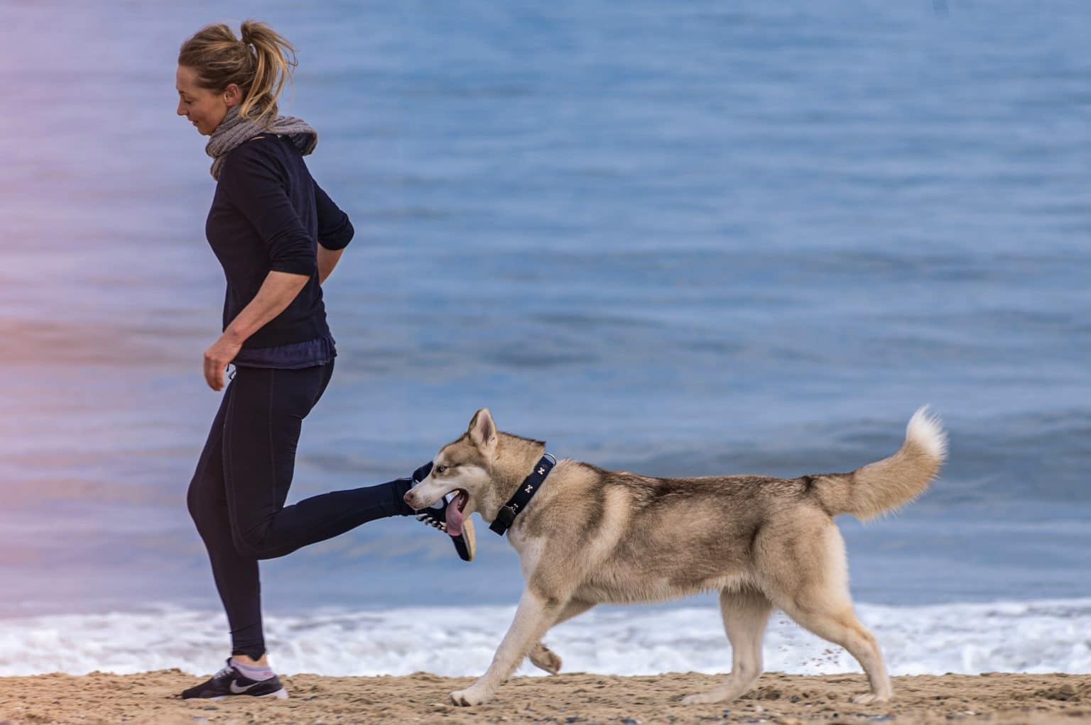 11 Incredible Ways Dogs Learn To Adapt and Thrive - iHeartDogs.com