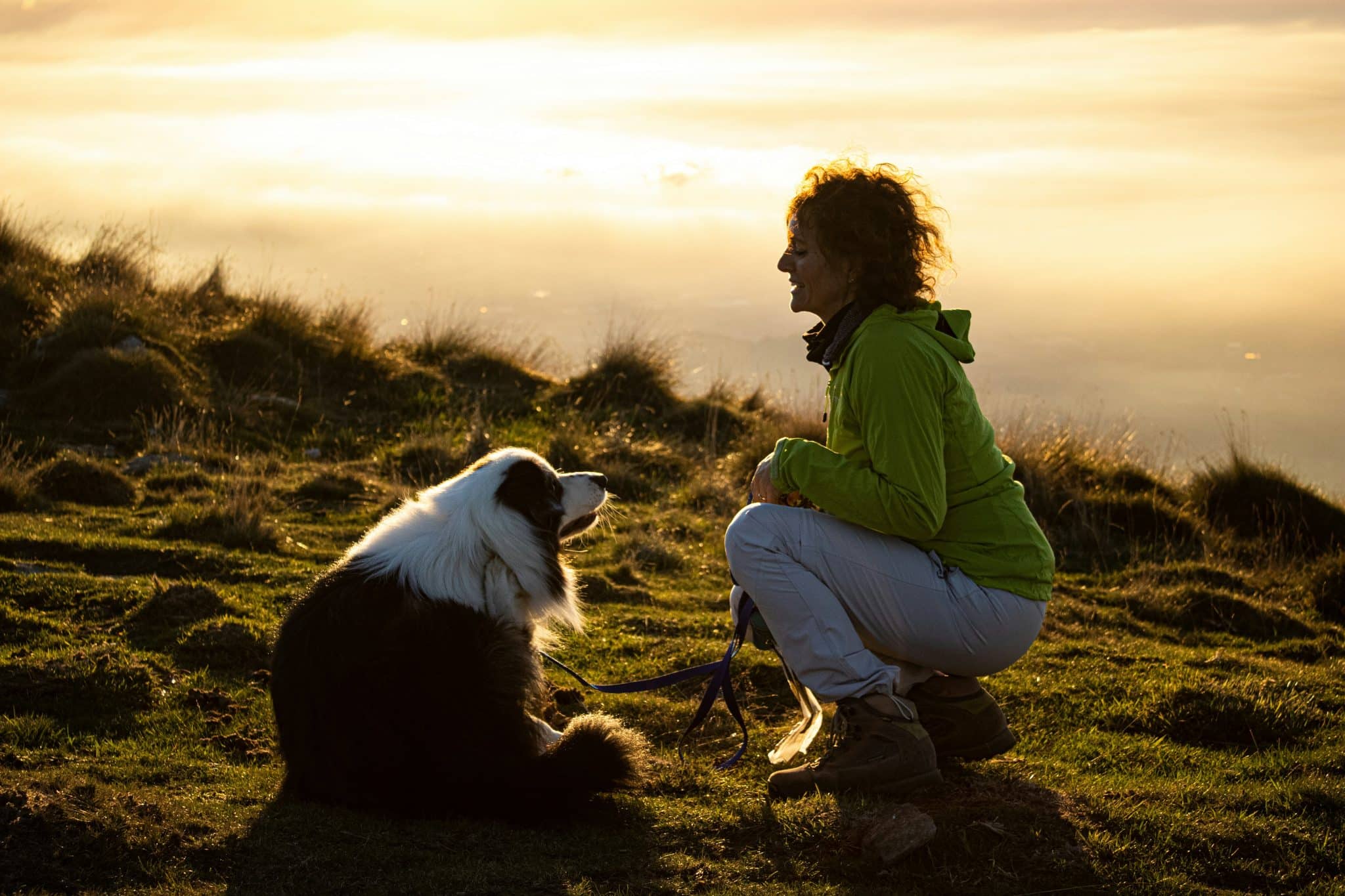15 Beautiful Ways To Say Goodbye To Your Dog When The Time Comes ...