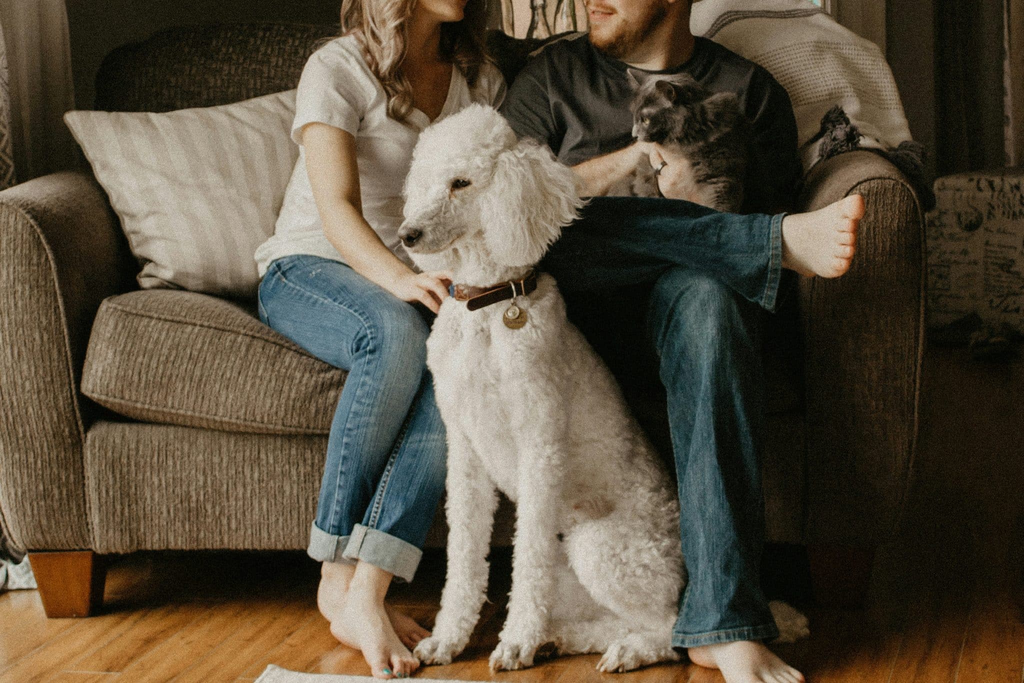 11 Incredible Ways Dogs Learn To Adapt and Thrive - iHeartDogs.com