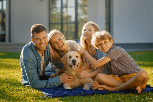 9 Best Large Dog Breeds for Families Who Love Big Cuddles - iHeartDogs.com