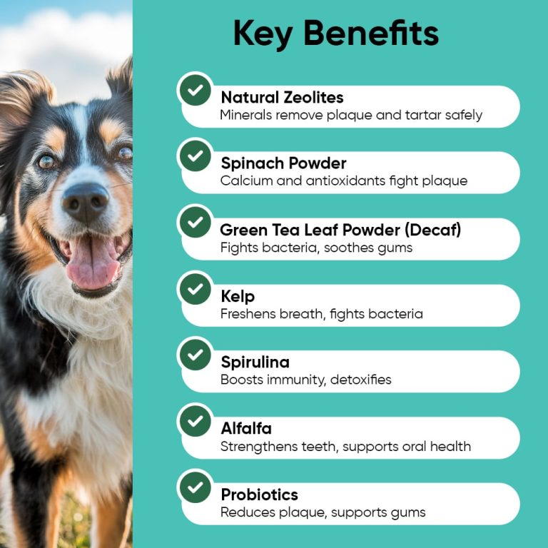 iHeartDogs Dental Powder- Fresh Breath & Teeth Cleaning Made Easy ...