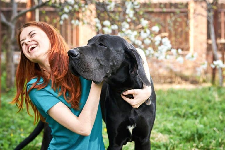 9 Reasons Dogs Are Good for Your Mental Health - iHeartDogs.com