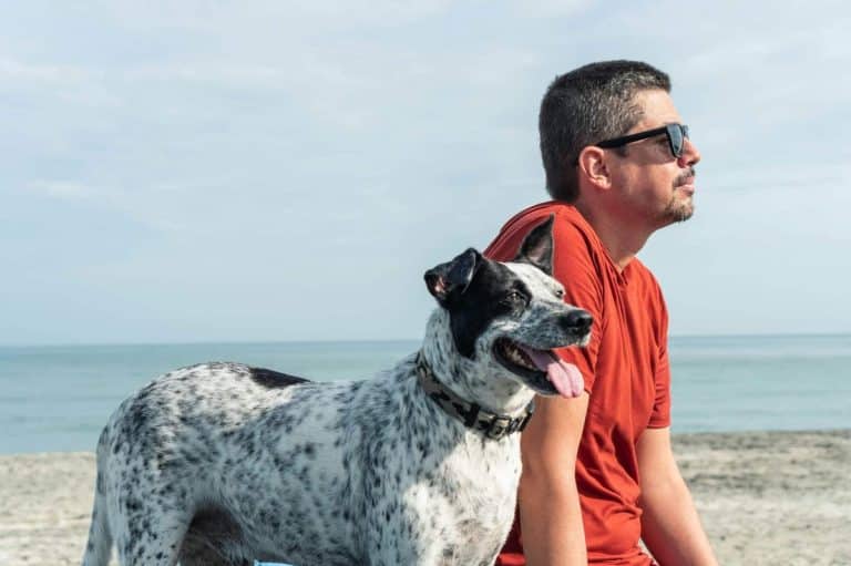 9 Reasons Dogs Are Good for Your Mental Health - iHeartDogs.com