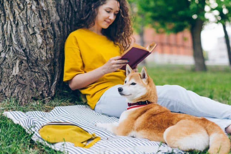 9 Reasons Dogs Are Good for Your Mental Health - iHeartDogs.com