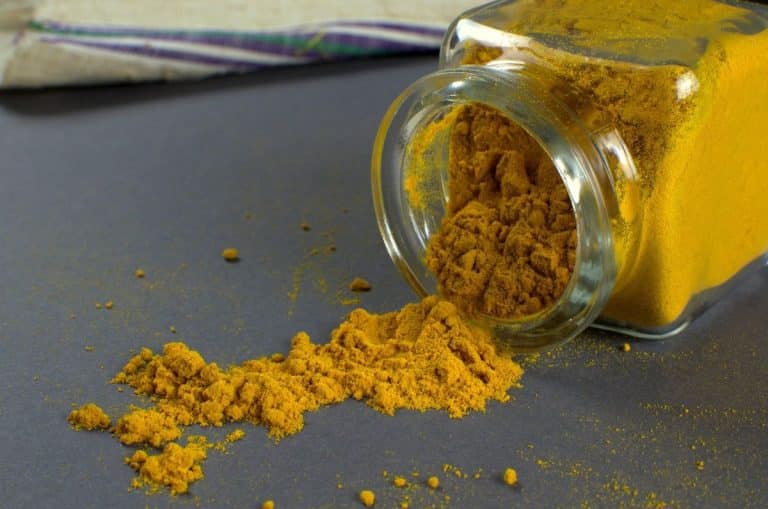 9 Natural Ingredients That Fight Plaque and Tartar in Dogs - iHeartDogs.com