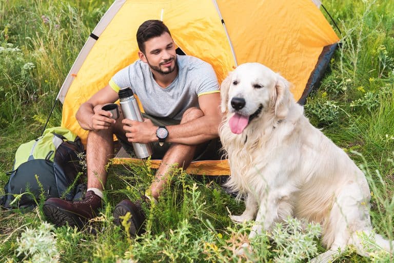 8 Best Dog Camping Tents - iHeartDogs.com
