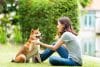 11 Signs Your Dog Really Trusts You - iHeartDogs.com