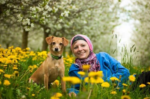 11 Heartbreaking but Beautiful Truths About the Rainbow Bridge ...