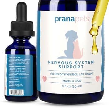 3 Best Supplements for Dogs with Seizures & Epilepsy - iHeartDogs.com