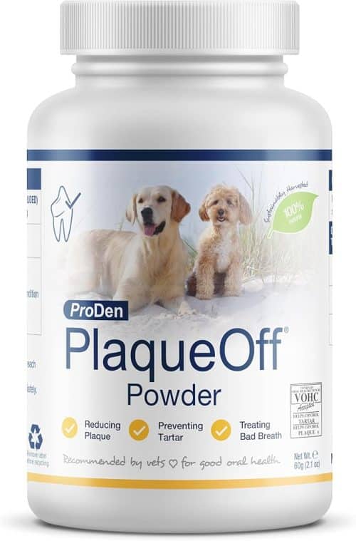 6 Best Dental Powders for Dogs - iHeartDogs.com