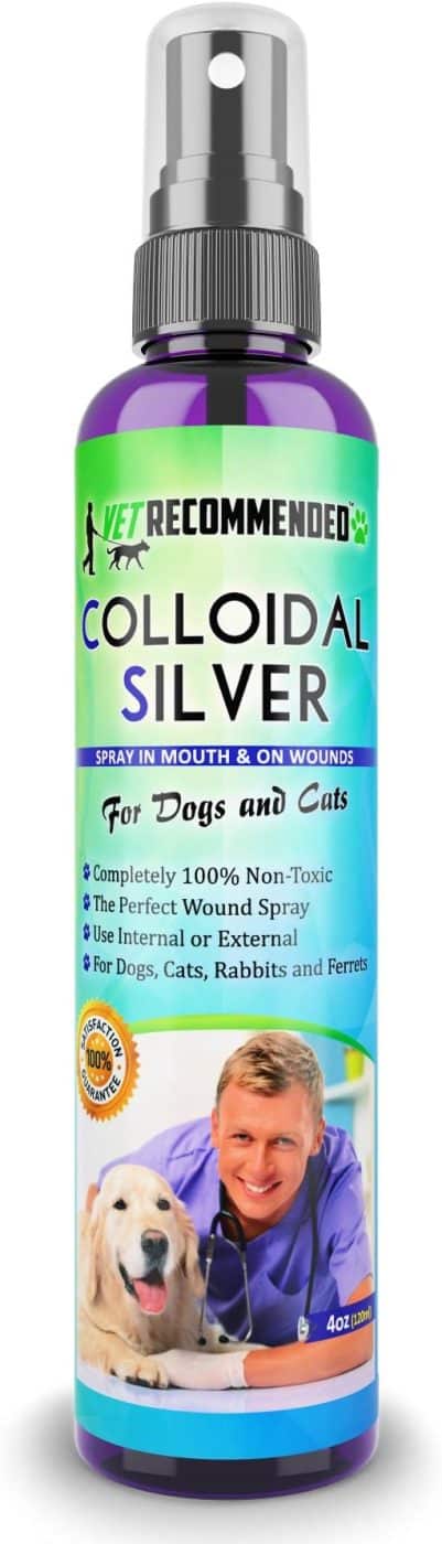 7 Best Colloidal Silver for Dogs - iHeartDogs.com