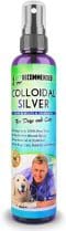 7 Best Colloidal Silver for Dogs - iHeartDogs.com