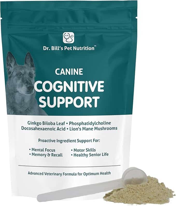 9 Best Supplements for Dogs with CCD (Canine Cognitive Dysfunction) - iHeartDogs.com