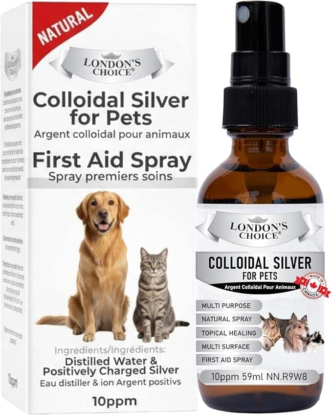 7 Best Colloidal Silver for Dogs - iHeartDogs.com
